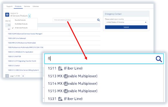 Navigating the Support portal